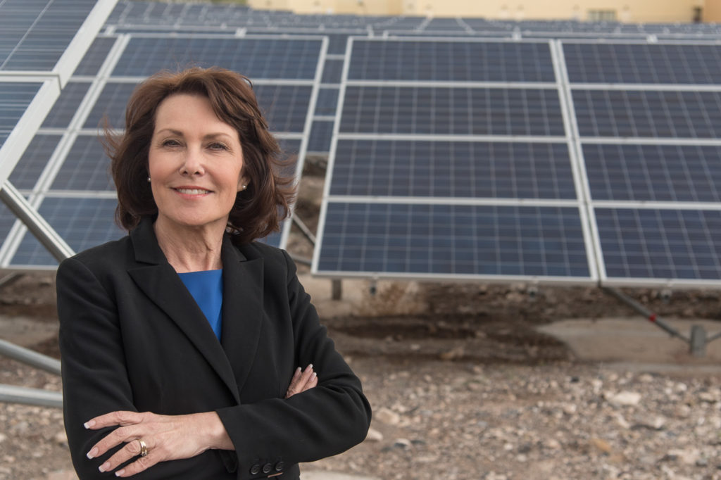 Congressional Newcomer Jacky Rosen Hopes To Unseat Nevada's Senator ...