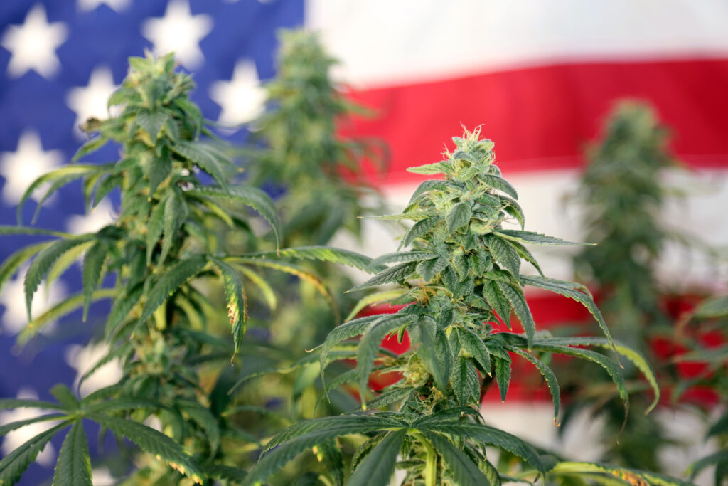 Marijuana Rescheduling and the End of Section 280E | Vegas Legal Magazine